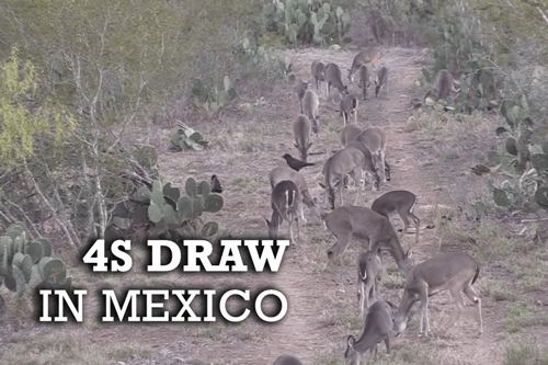 4S Draw In Mexico – 4S Advanced Wildlife Solutions