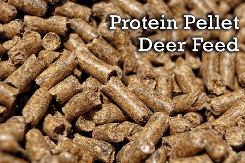 Deer Feed Tips – 4S Advanced Wildlife Solutions