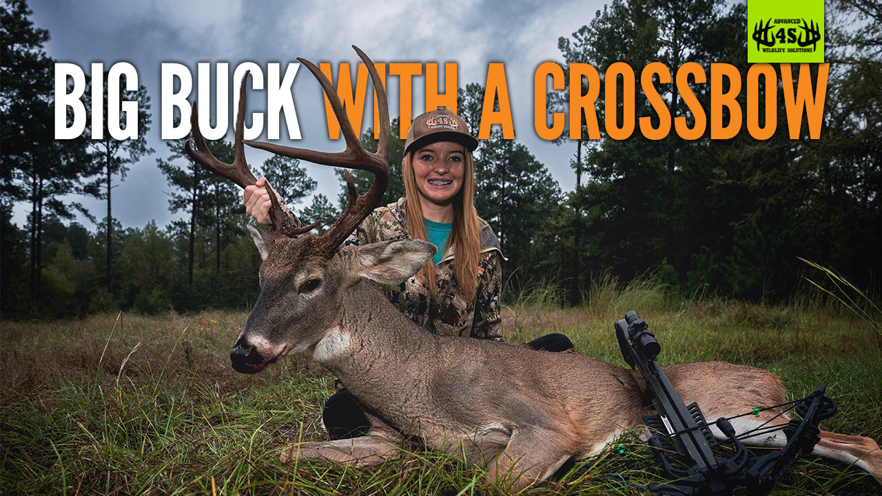 Big Suburban Buck With A Crossbow – 4S Advanced Wildlife Solutions